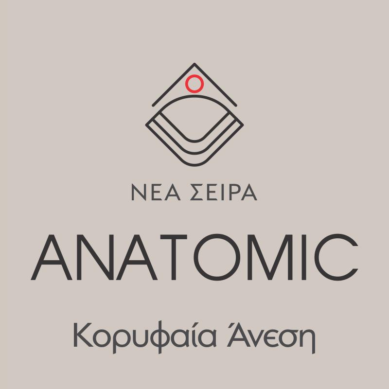 Anatomic Collection – DIMSTEL STROM ABEE